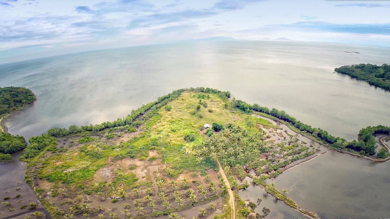 5 5 Hectares URGENT SALE SPECIAL DEAL Land Kampot LGM045